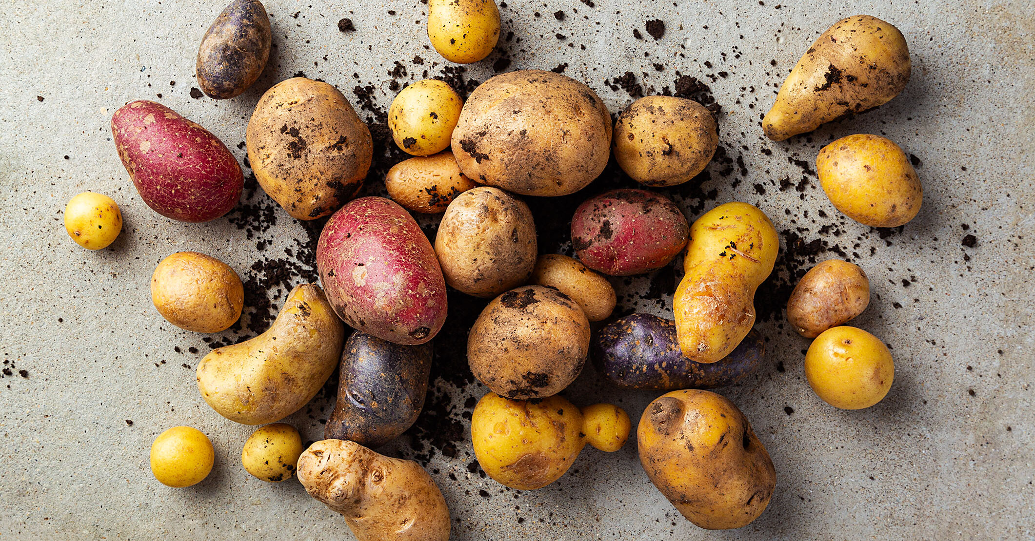 Patate